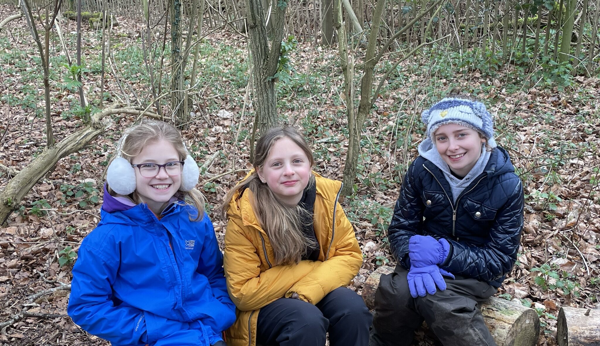 Admissions and Attendance – Meadow